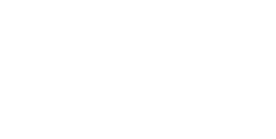 Braunschweiger Kulturnacht Braunschweiger Kulturnacht